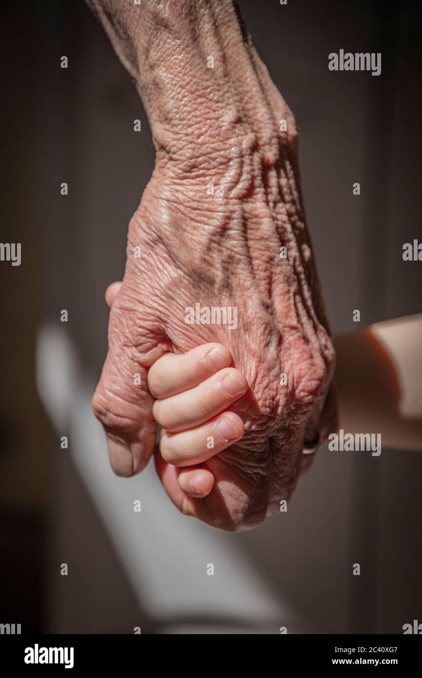 An elderly woman (old lady, grandmother) holds her little granddaughter ...