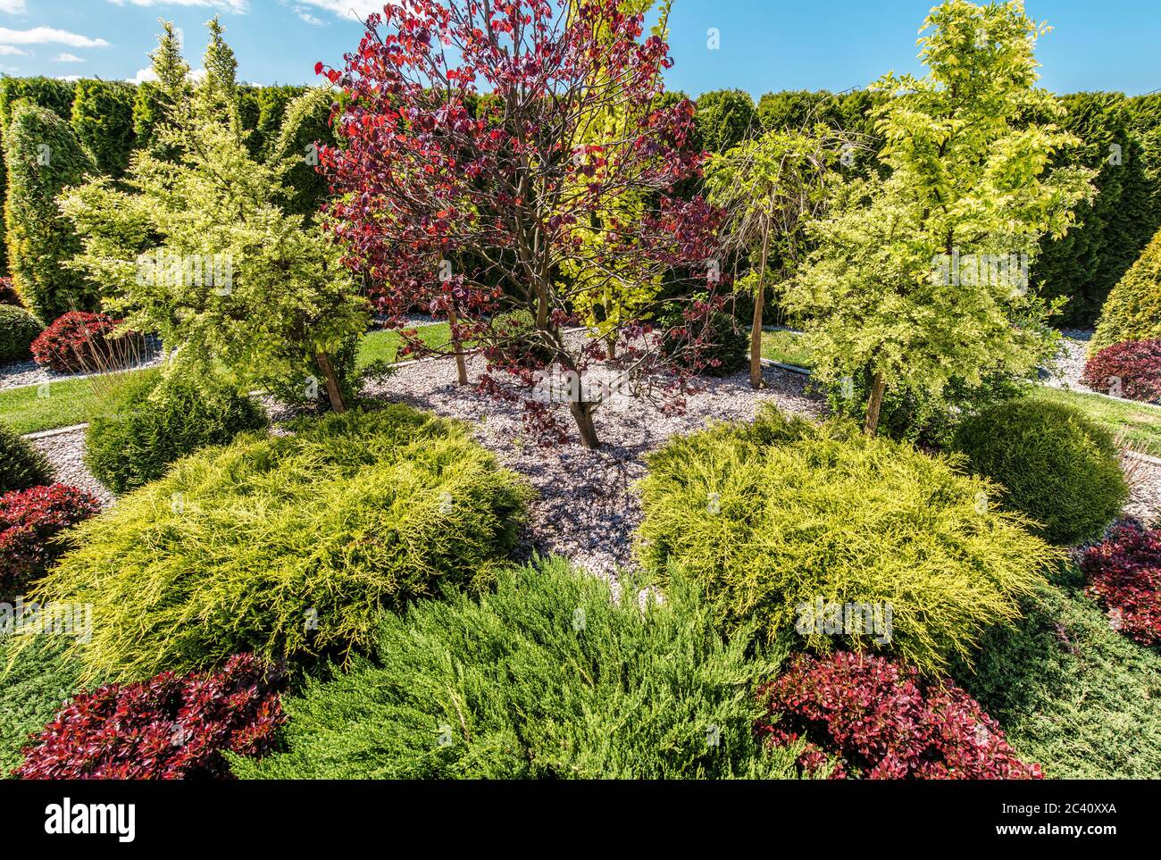 Backyard full of trees hi-res stock photography and images - Alamy