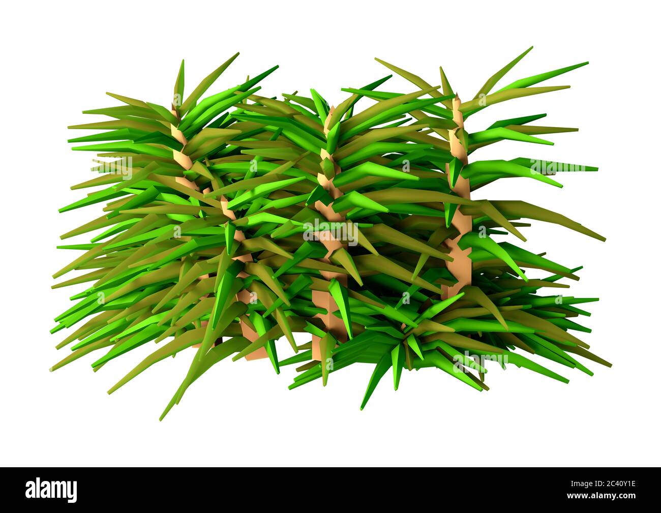 3D rendering of a green moss isolated on white background Stock Photo ...