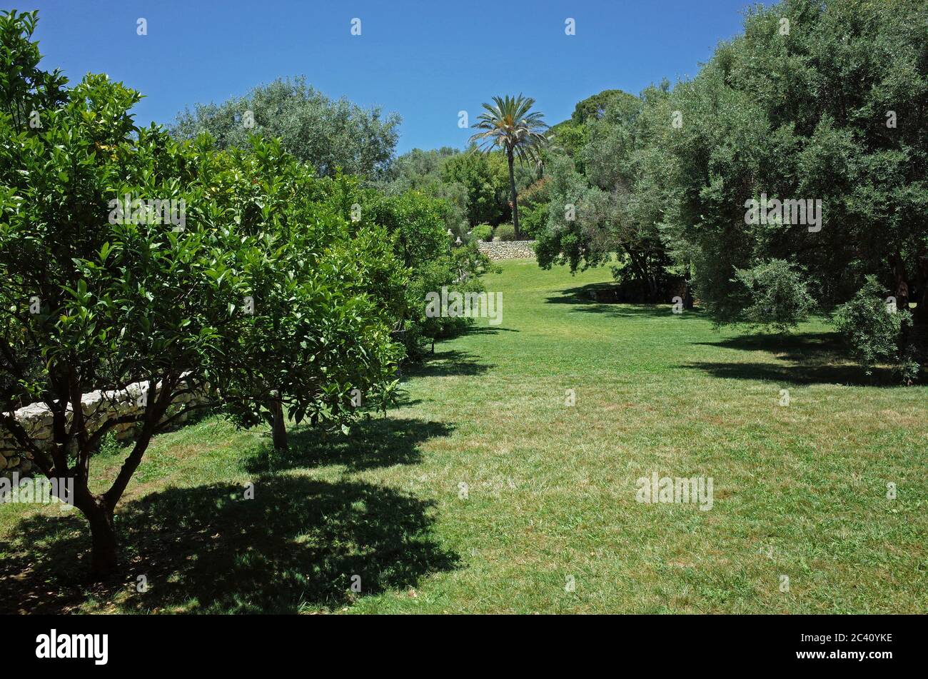 Monserrato park hi-res stock photography and images - Alamy