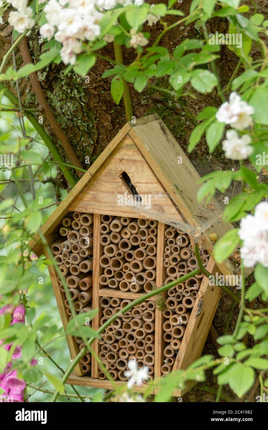 a close up view of a bug house that has been man made to encourage bugs ...