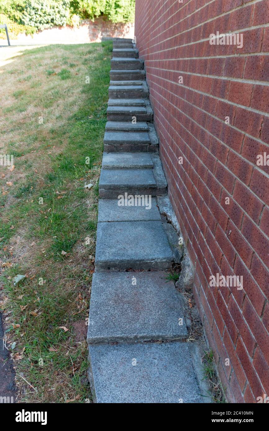 a close up view of a stone pathway leading up a small bank next to some ...