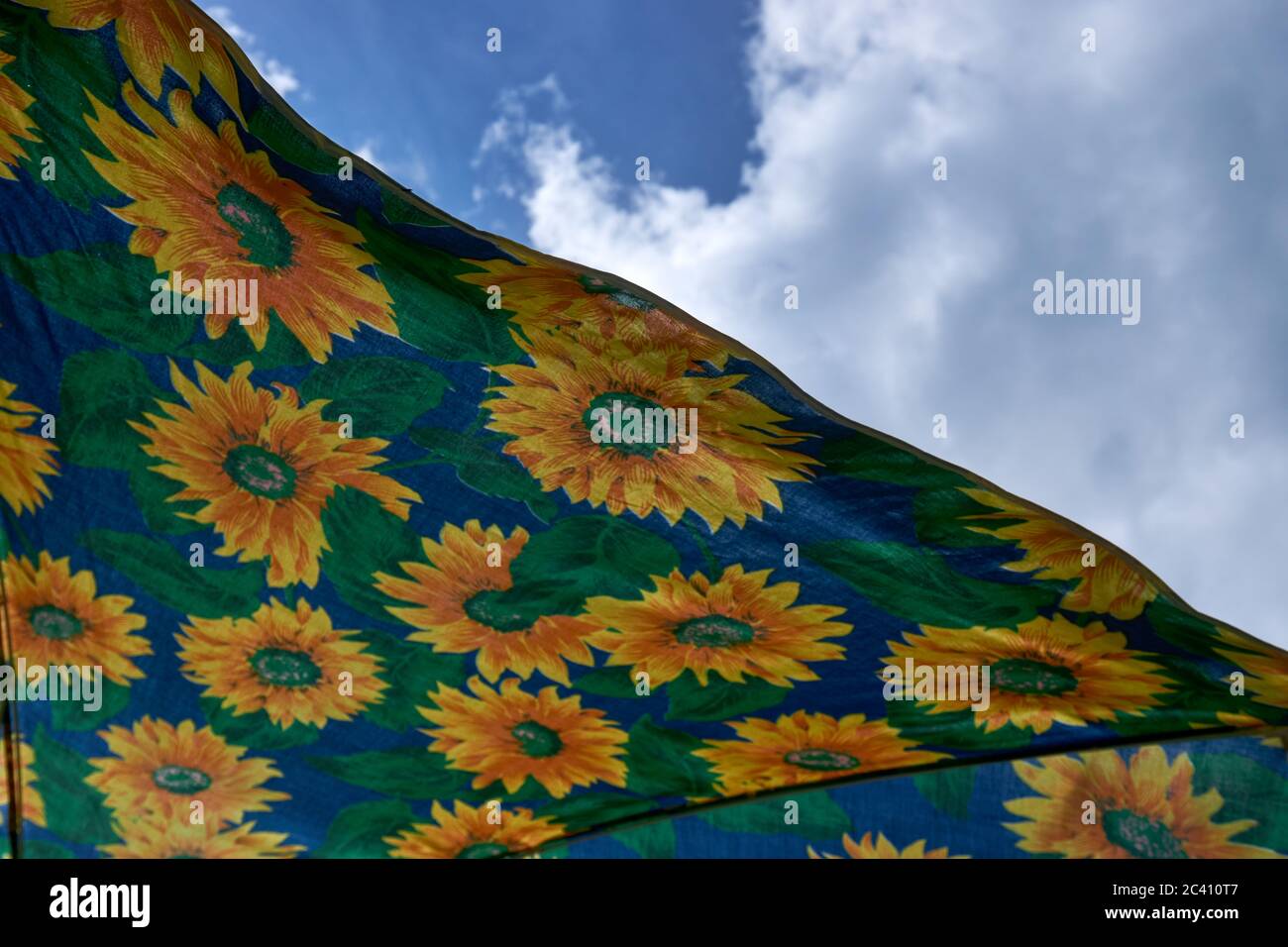 Photo of a sunflower umbrella in summer Stock Photo - Alamy