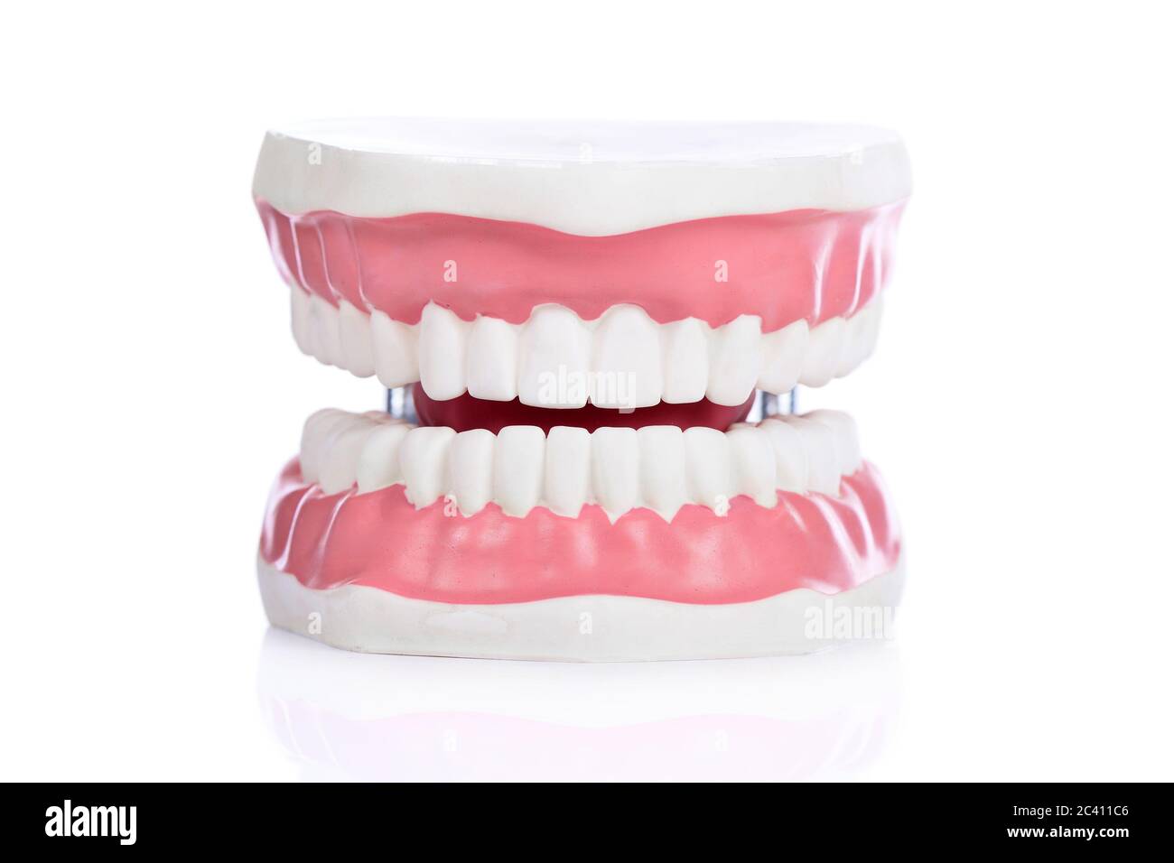 Fake teeth hi-res stock photography and images - Alamy
