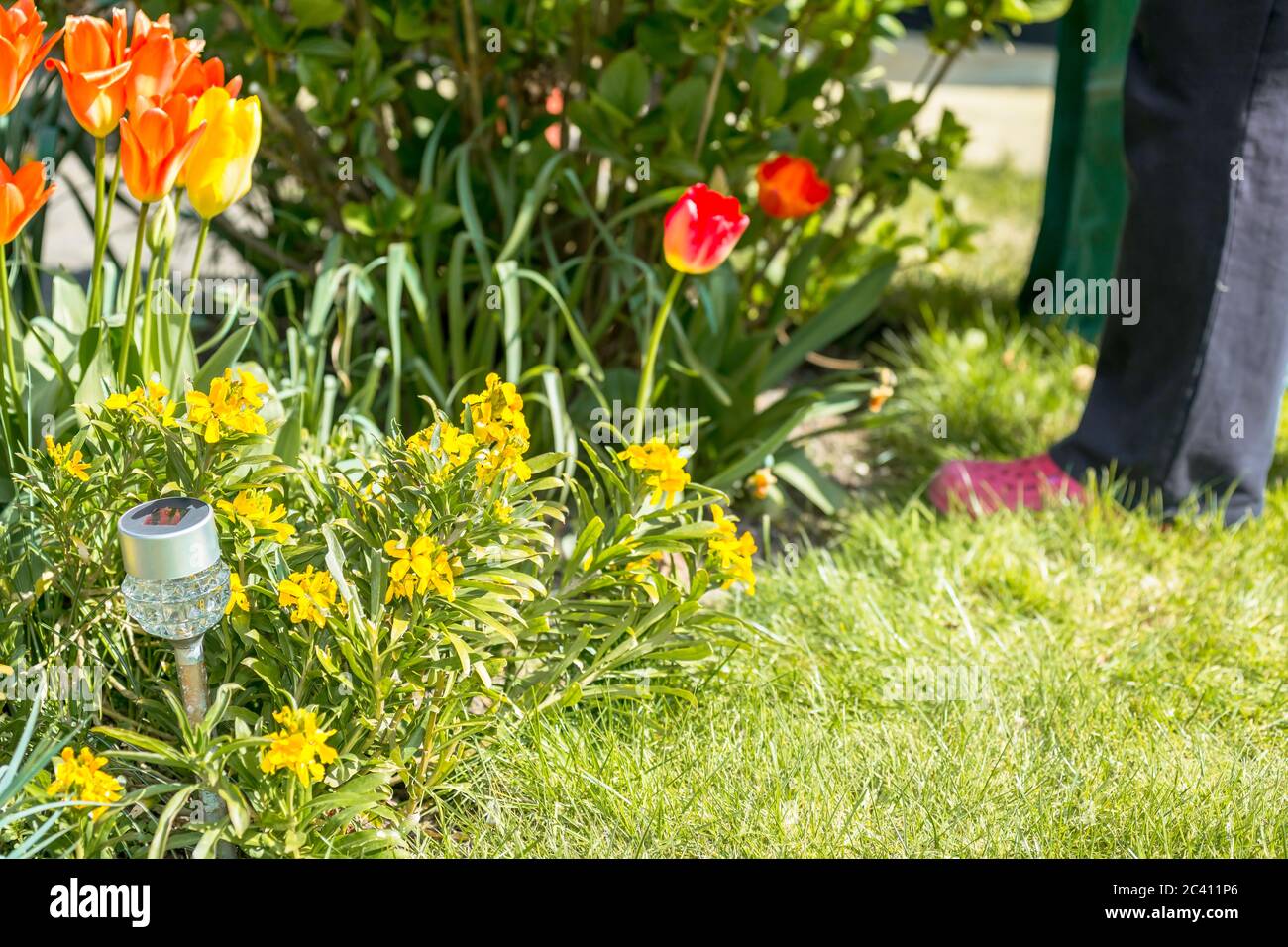 Adult legs stand at the garden during spring Stock Photo - Alamy