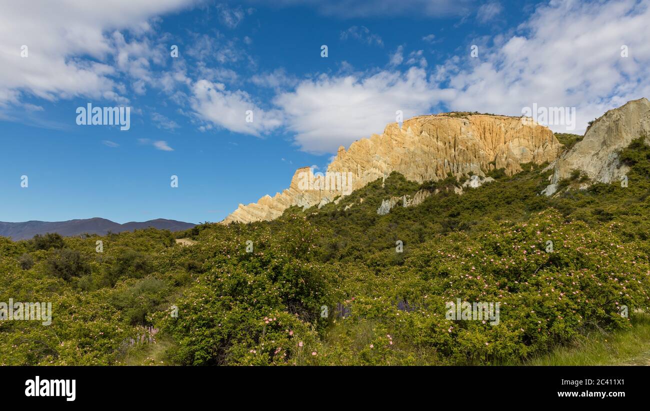 Quailburn, New Zealand: The Clay Cliffs, a spectacular formation of ...