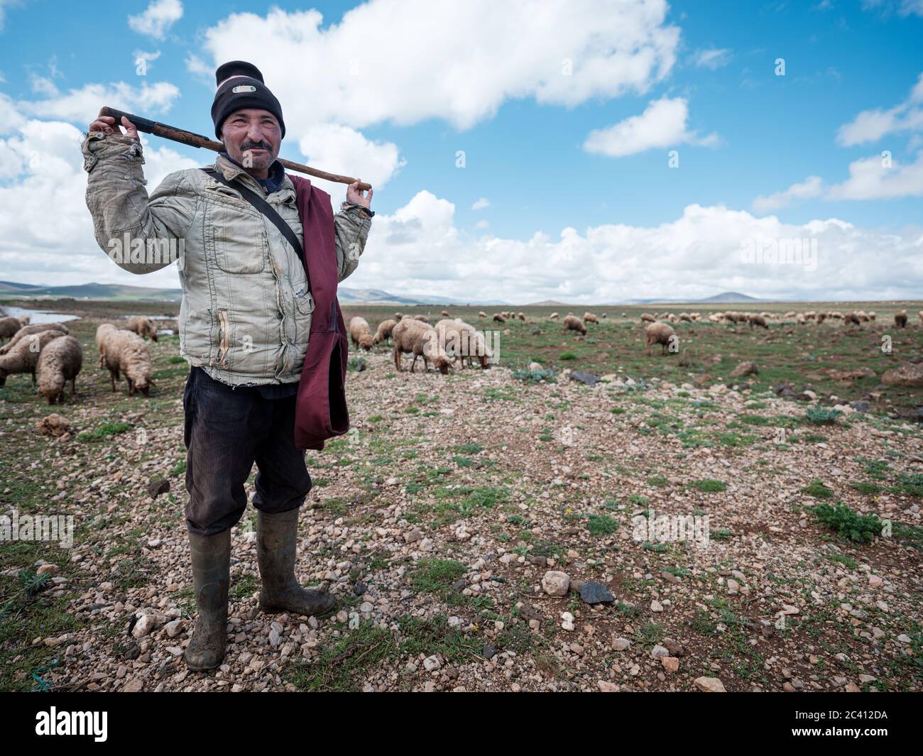 Sahara Desert Morocco Sheep High Resolution Stock Photography and ...
