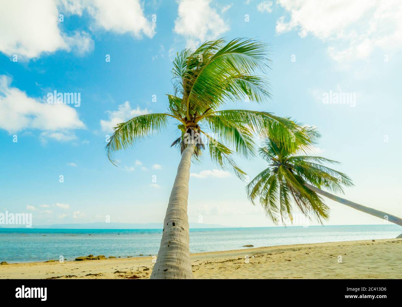 Summer beach - palm tree, mountain on remote island, white sand, sea ...