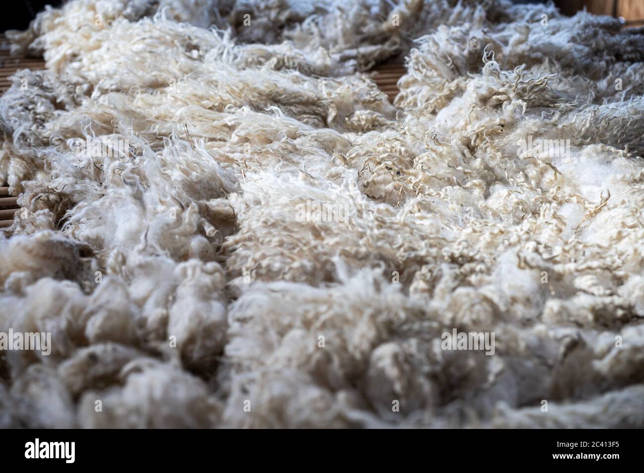 New zealand wool sheepskin hi-res stock photography and images - Alamy