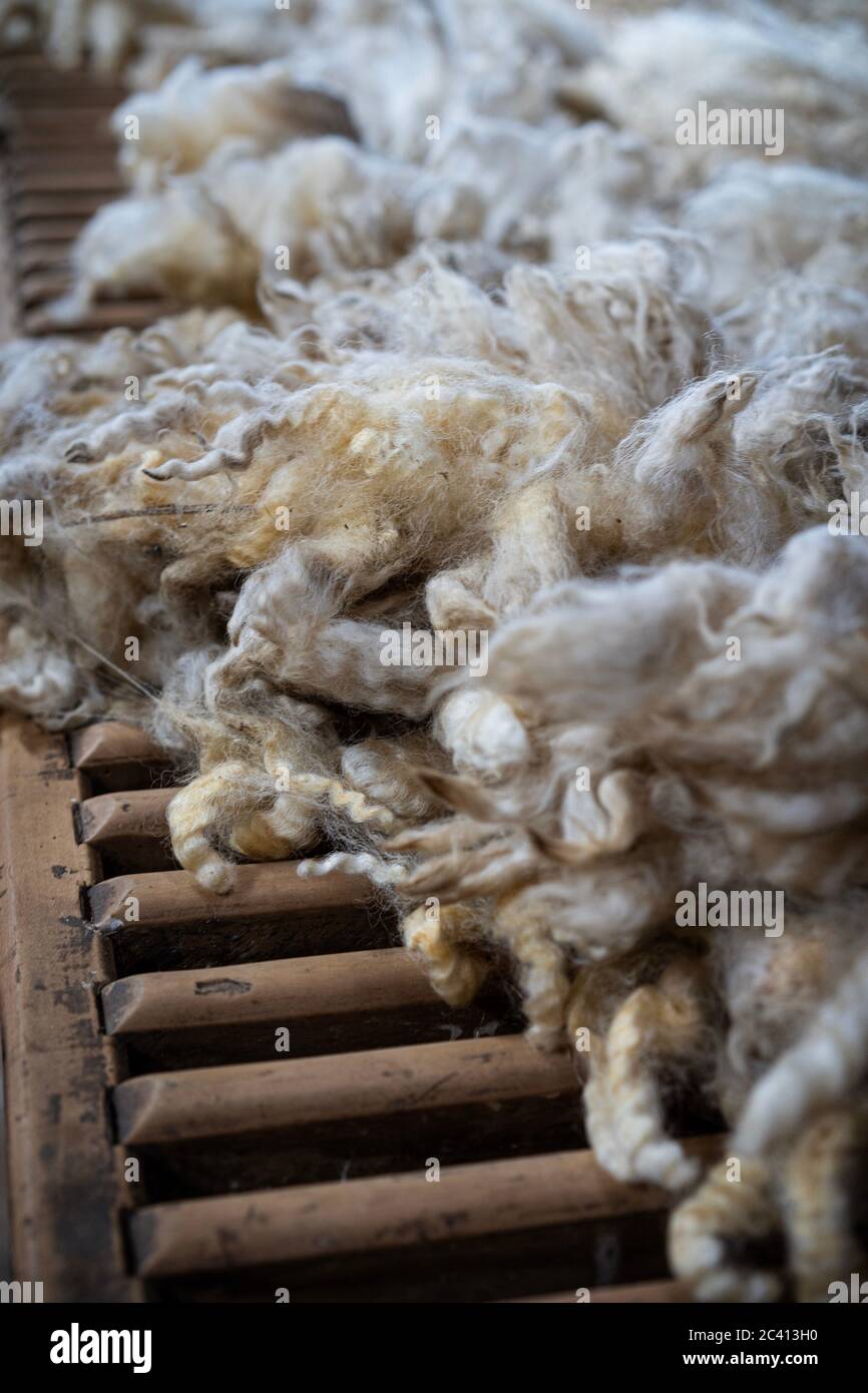 Raw wool on table hi-res stock photography and images - Alamy