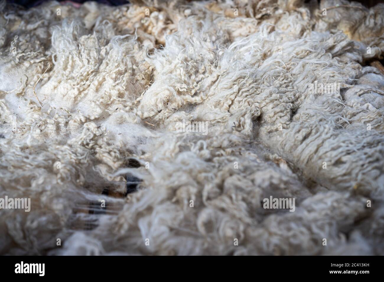 New zealand wool sheepskin hi-res stock photography and images - Alamy