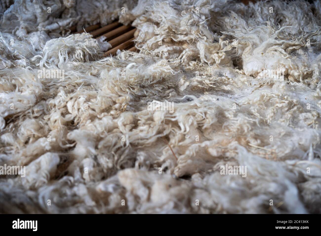 New zealand wool sheepskin hi-res stock photography and images - Alamy