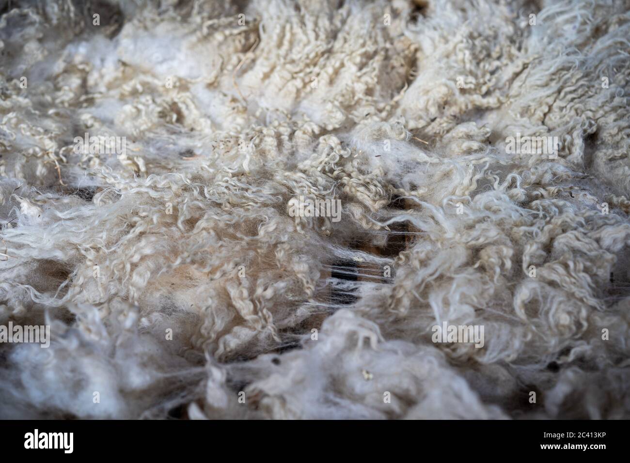 Raw wool on table hi-res stock photography and images - Alamy