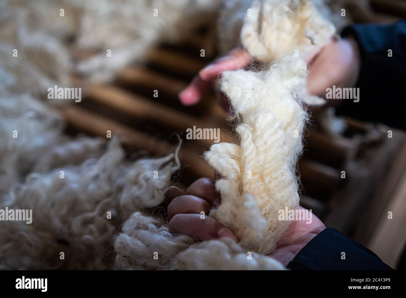 New zealand wool sheepskin hi-res stock photography and images - Alamy