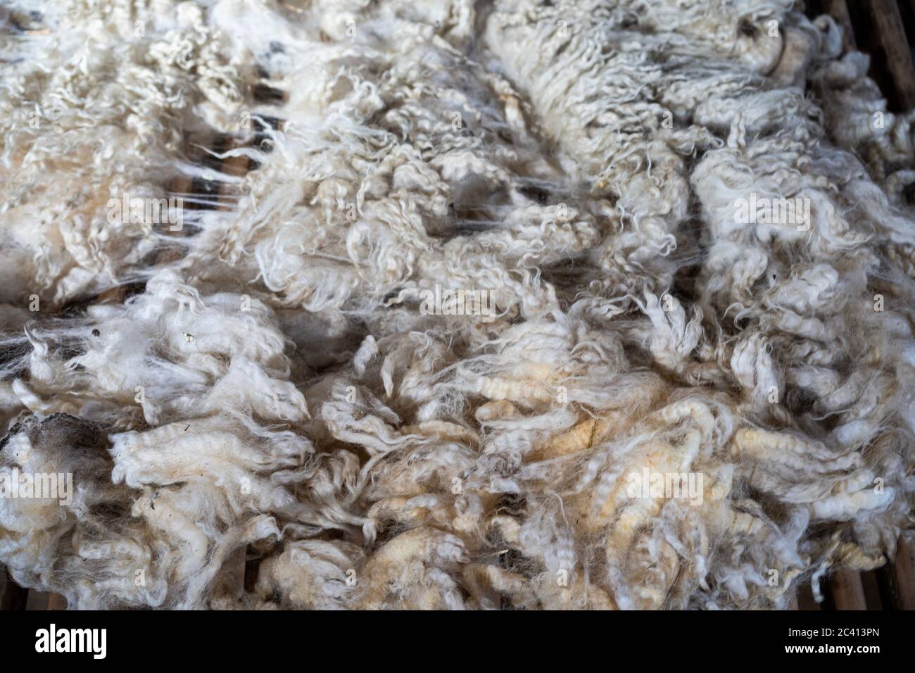 New zealand wool sheepskin hi-res stock photography and images - Alamy