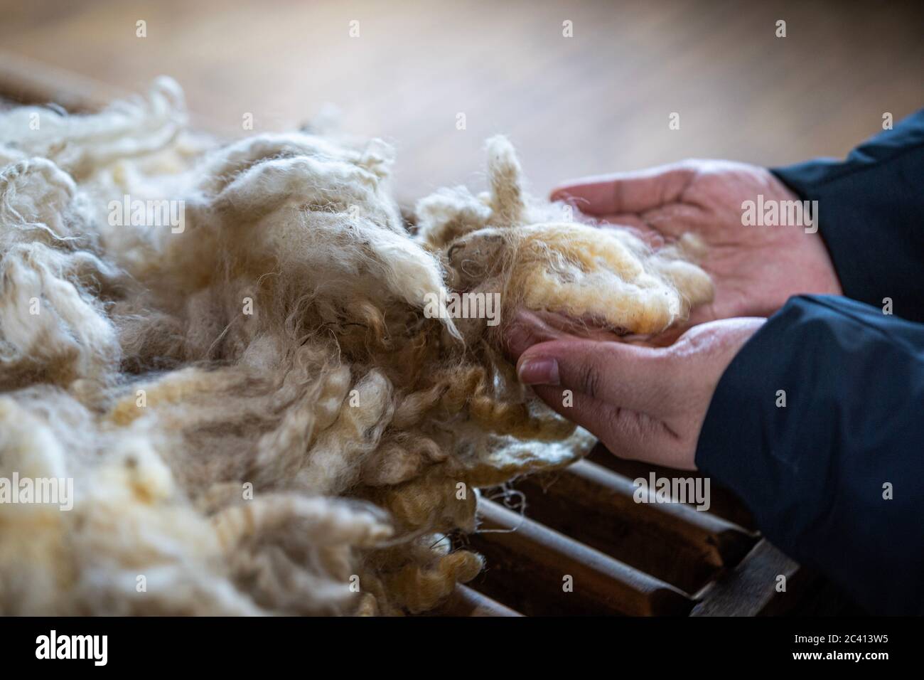 New zealand wool sheepskin hi-res stock photography and images - Alamy