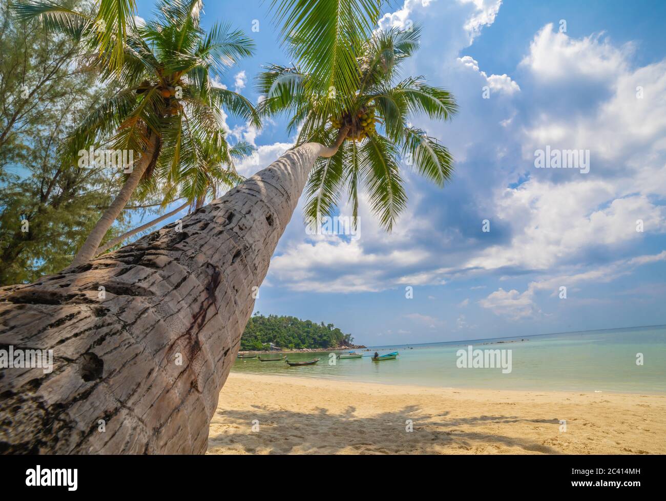 Beautiful tropical island beach, summer nature scene beach, blue sky ...