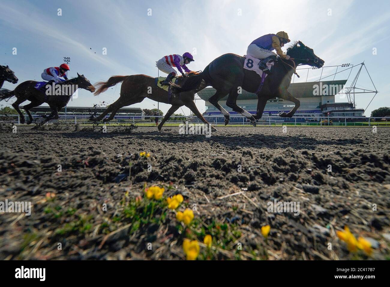 Ville de grace horse hi-res stock photography and images - Alamy