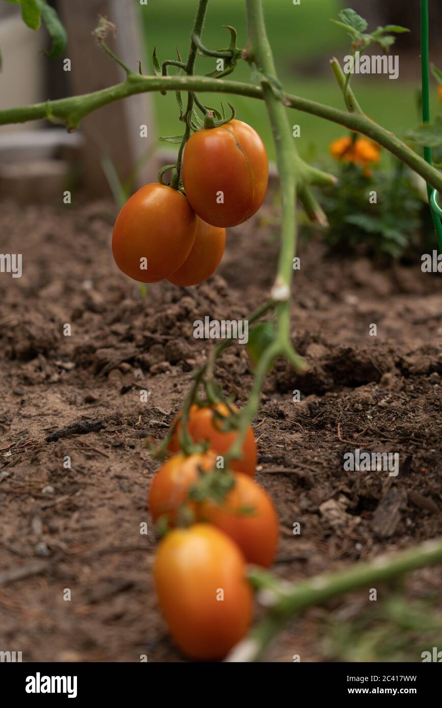 Multiple plans hi-res stock photography and images - Alamy