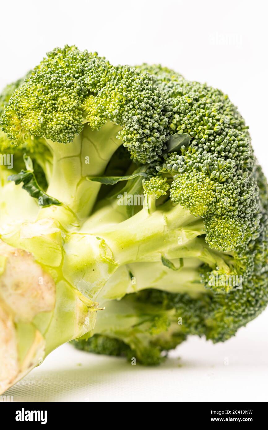 Fresh Broccoli isolated on white background Stock Photo - Alamy