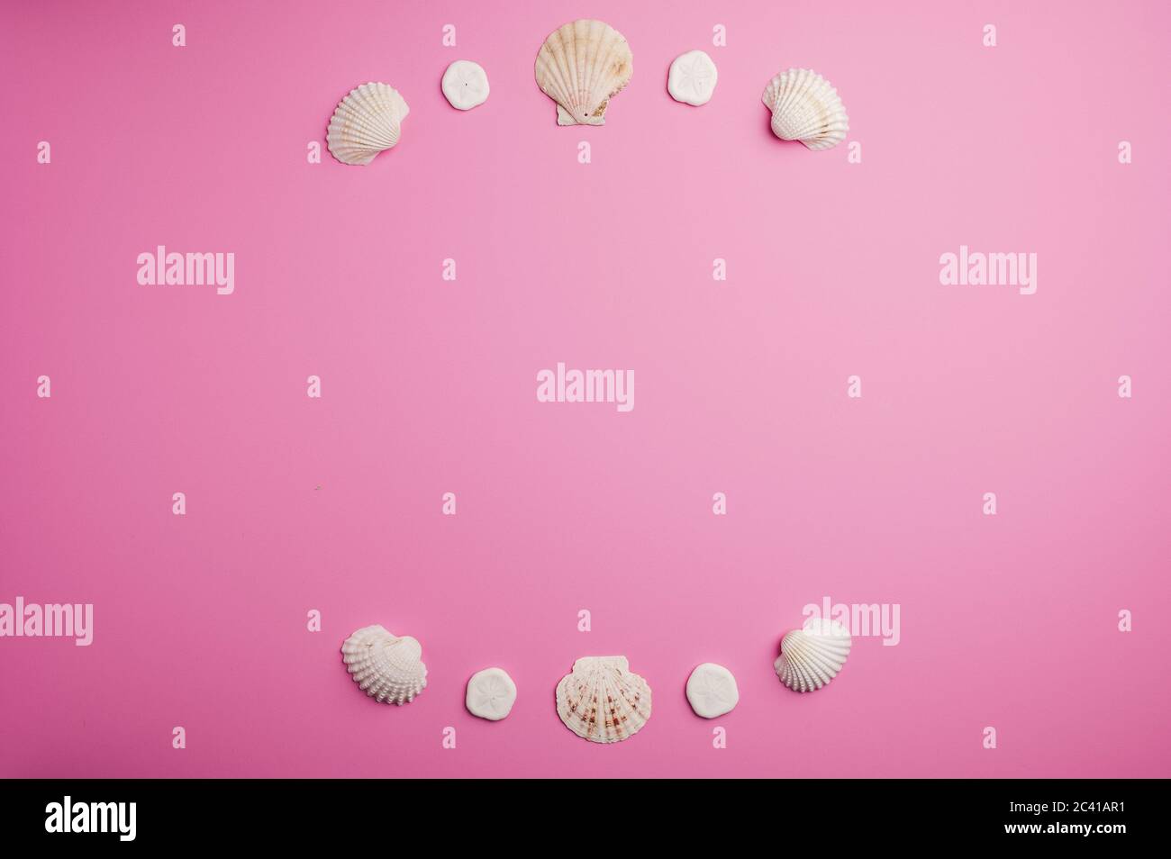 Ocean inspired flat lay composed of sea shells and star fish on pink ...