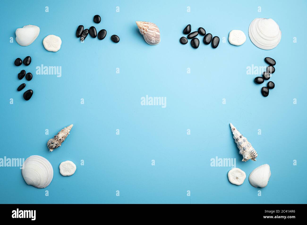 Ocean inspired flat lay composed of sea shells and star fish on blue ...