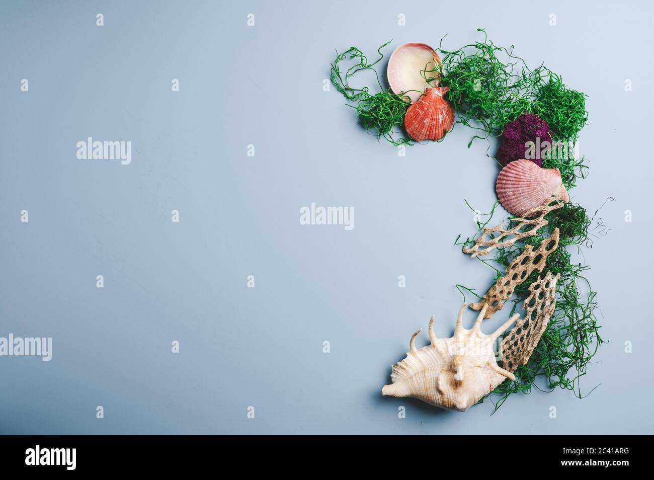 Ocean inspired flat lay composed of sea shells and star fish on blue ...