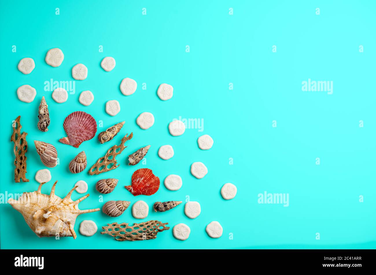 Ocean inspired flat lay composed of sea shells and star fish on teal ...