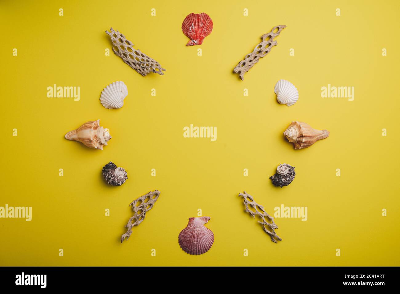 Ocean inspired flat lay composed of sea shells and star fish on yellow ...