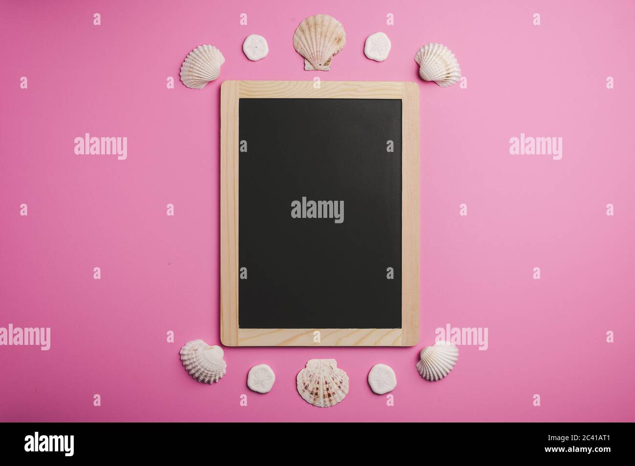 Ocean inspired flat lay composed of a blackboard, sea shells on pink ...