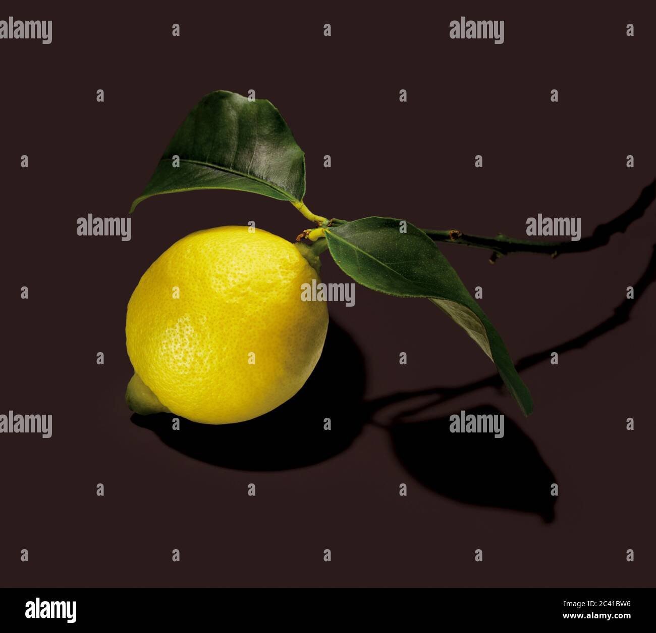 Lemon with leaves and stem - citrus Stock Photo - Alamy