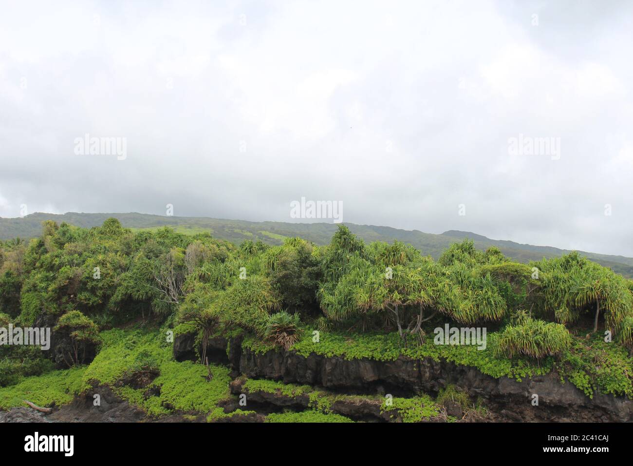 A rainforest on volcanic, rocky cliffs alongside the Seven Sacred Pools ...