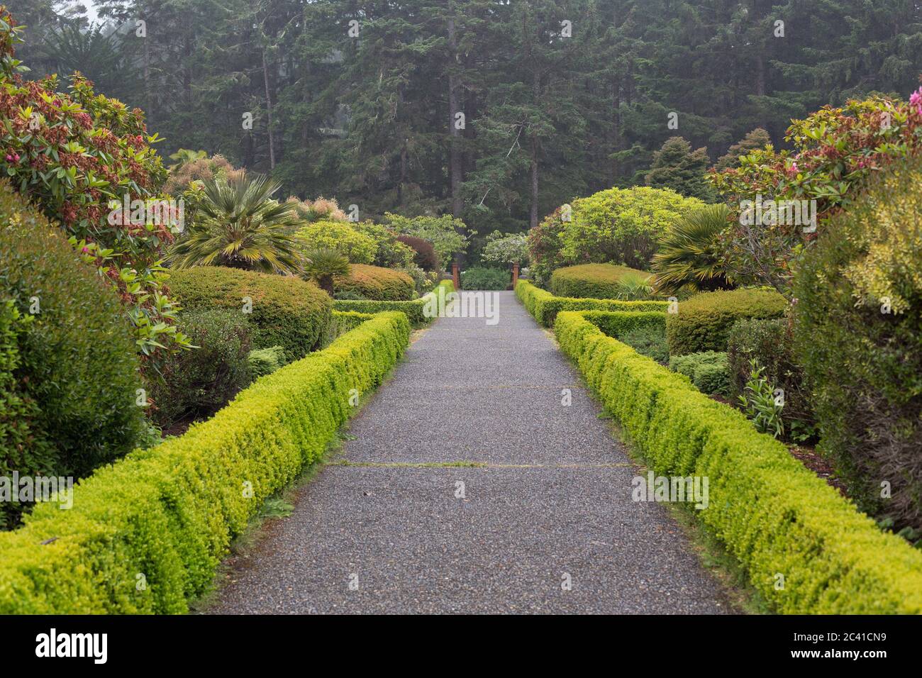 Bright green hedges line a walkway at Shore Acres State Park in Coos ...