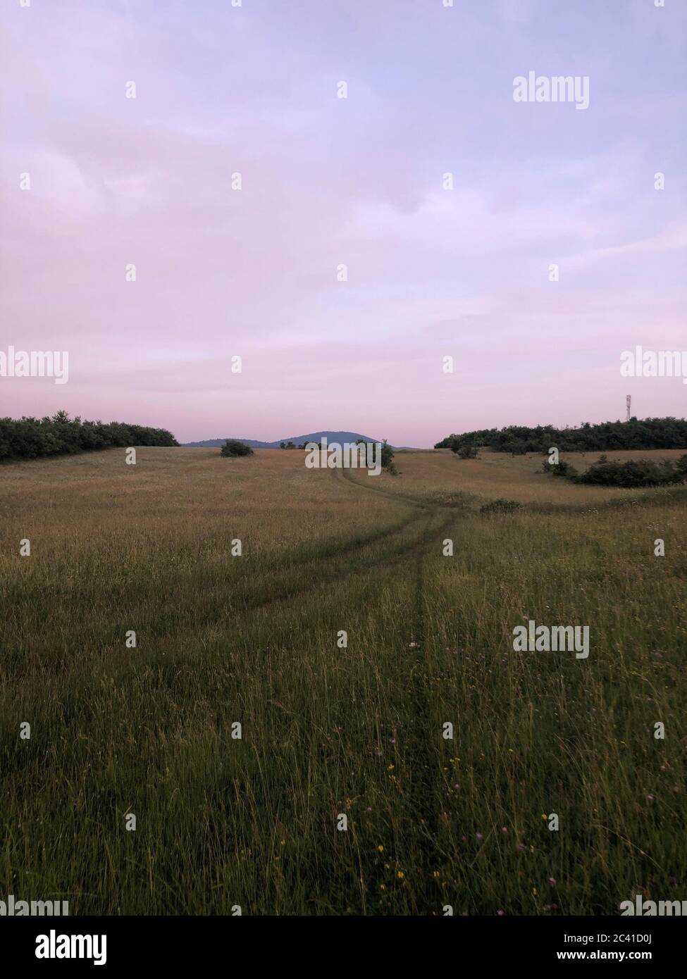 Paths wide hi-res stock photography and images - Alamy