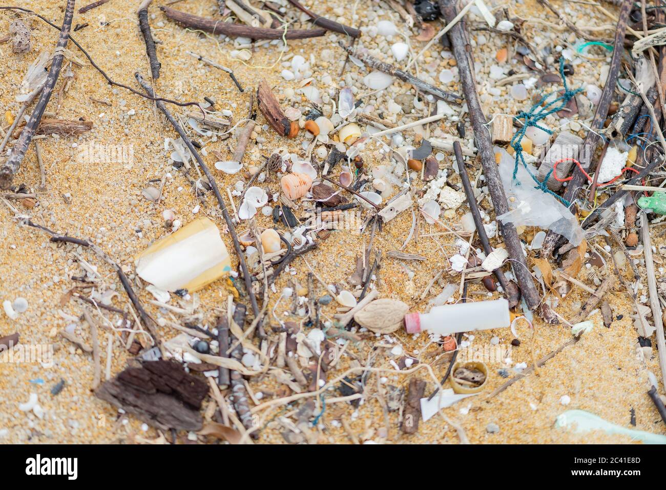garbage plastic and dry branch tree on sand beach Stock Photo - Alamy