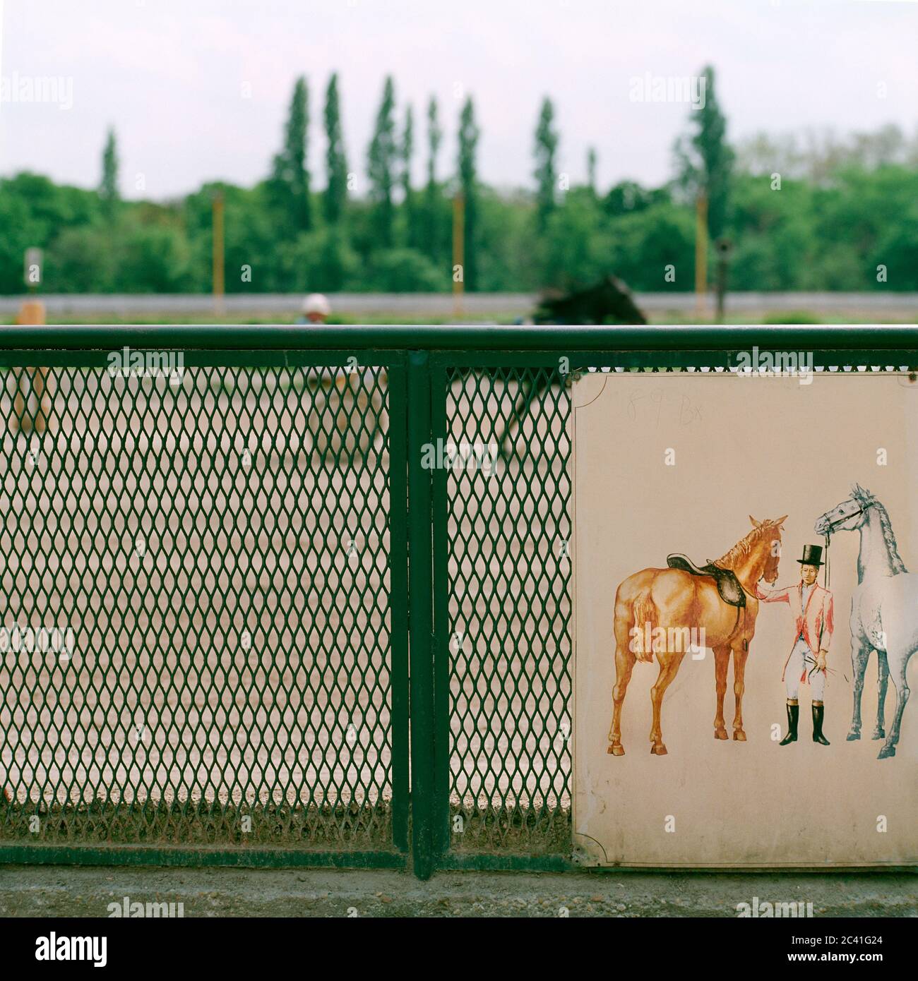 Horse poster at barrier - illustration - harness racing track Stock ...
