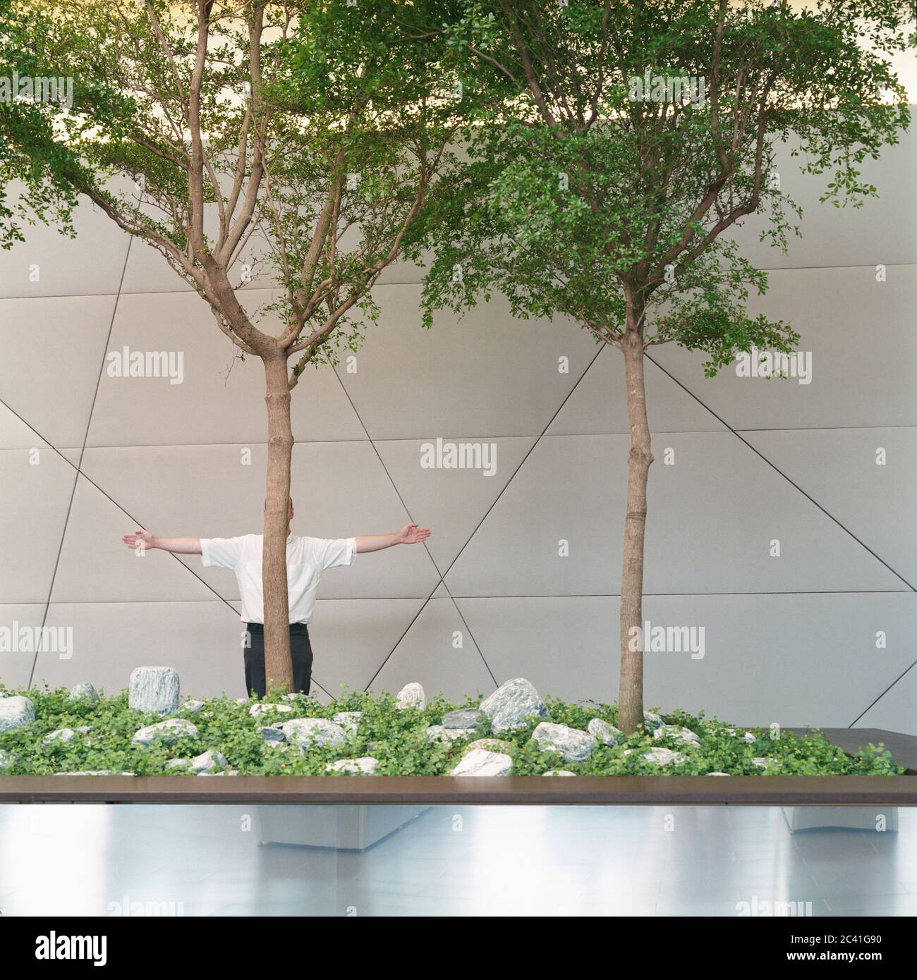 Man stands behind a tree in an artificial park strip in front of a ...