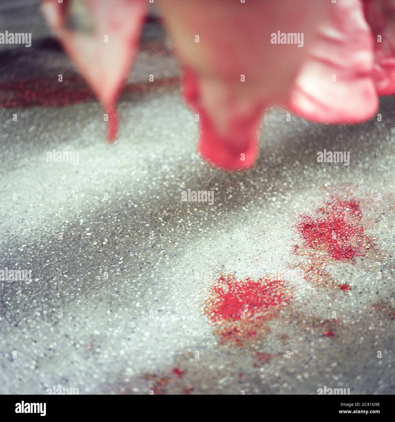 Bleeding snout of a dead pig in a slaughterhouse - cattle breeding ...
