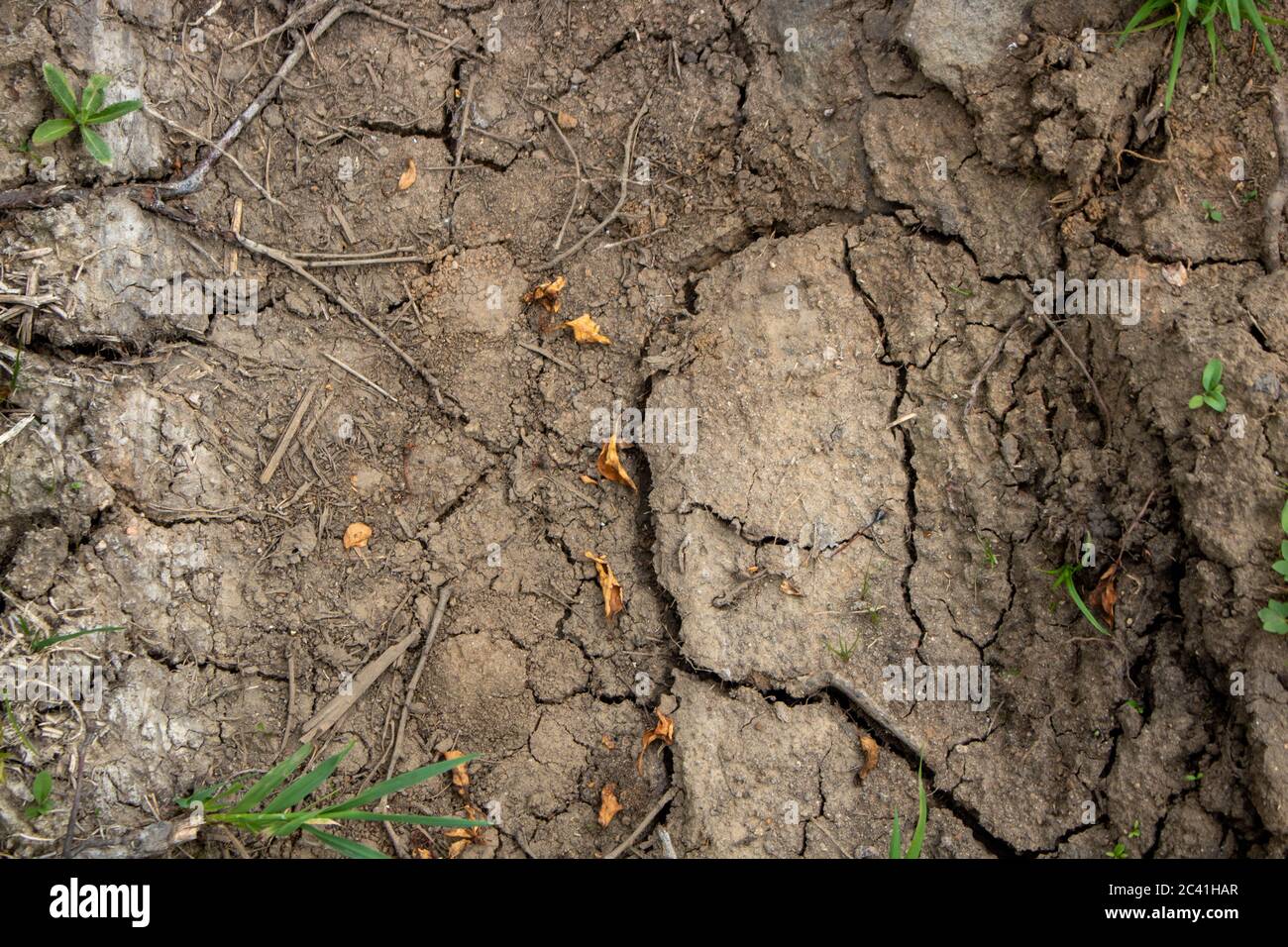 Dying broken land hi-res stock photography and images - Alamy