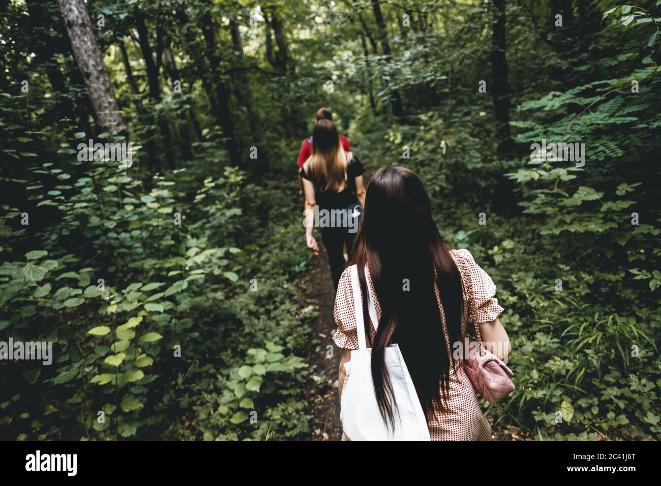 A group of friends is walking along a path in the woods for a picnic ...