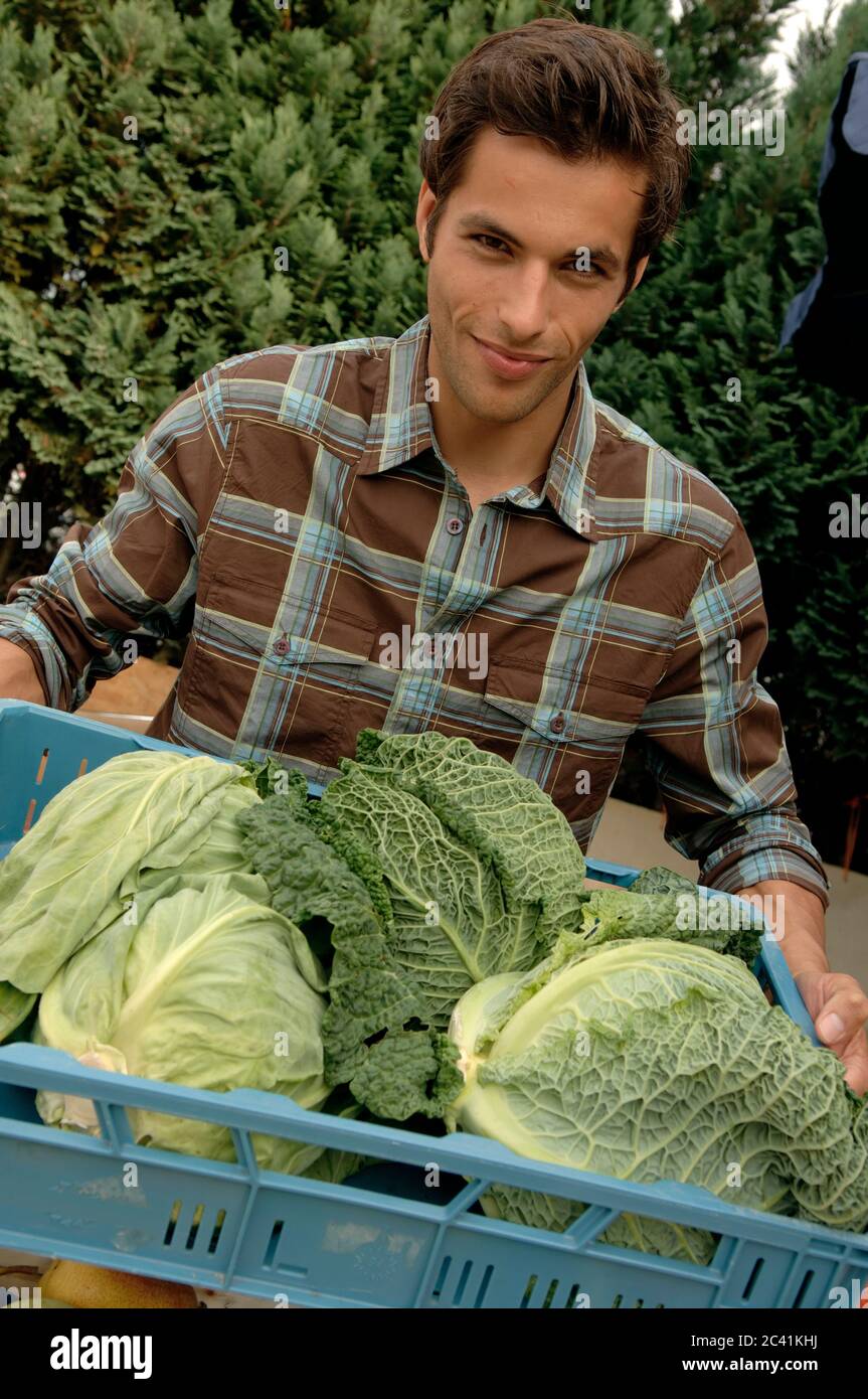 Man carries box of cabbages Stock Photo - Alamy