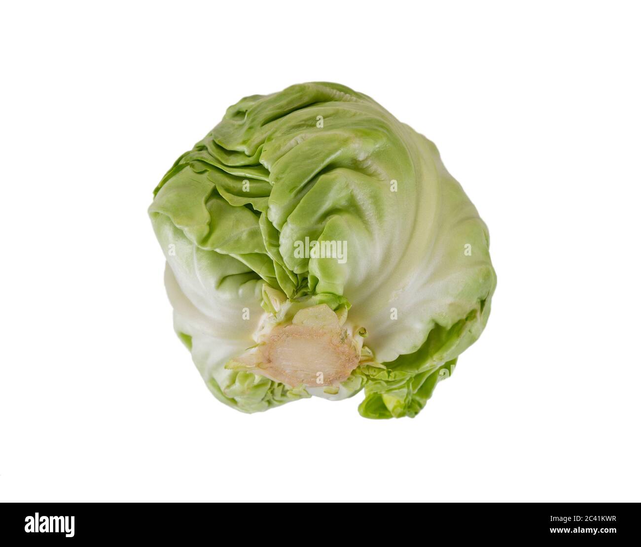 Green cabbage isolated on white background. Healthy food. Cabbage ...