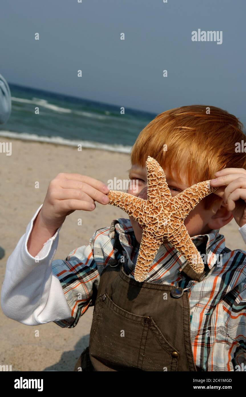 Boy looking at starfish hi-res stock photography and images - Alamy