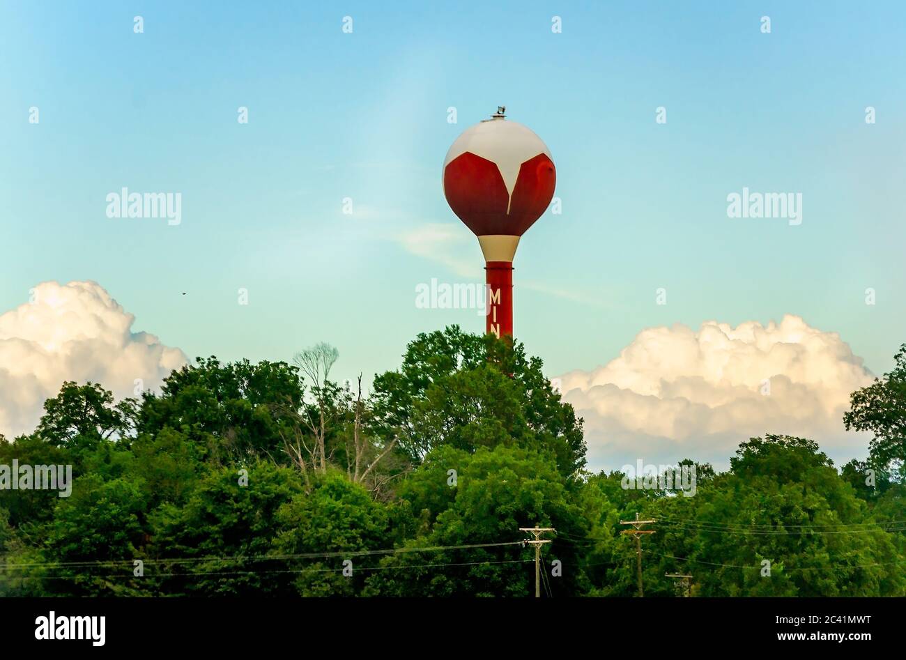 The Minter City water tower is painted like a cotton boll, signifying ...