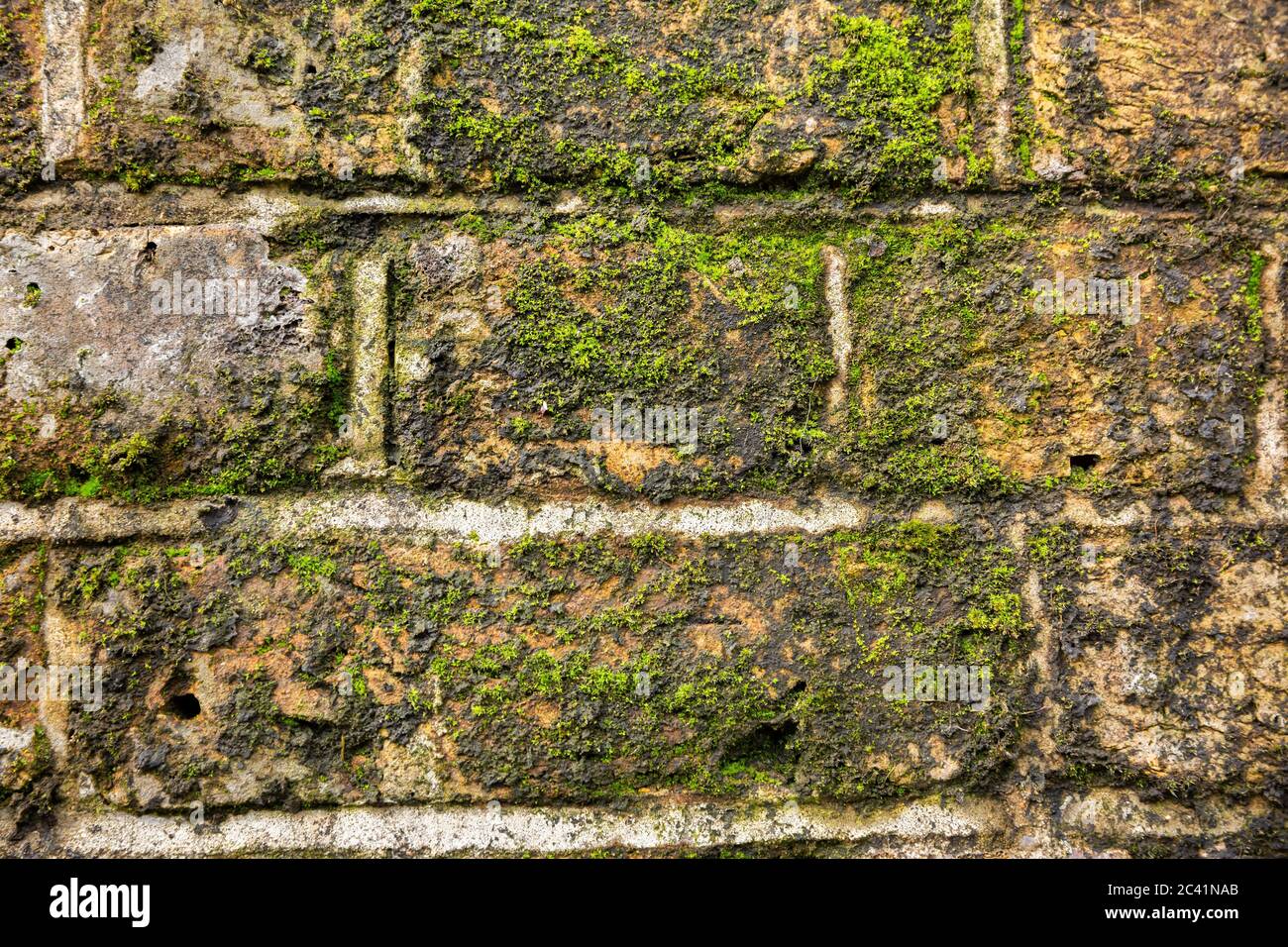 The texture of the old bricks wall with plants as a background Stock ...