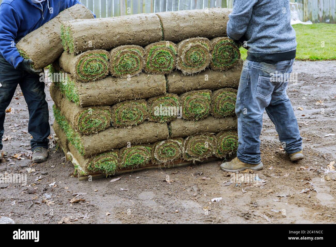 Stack of turf grass rolls a lawn fresh grass to decorate landscape ...