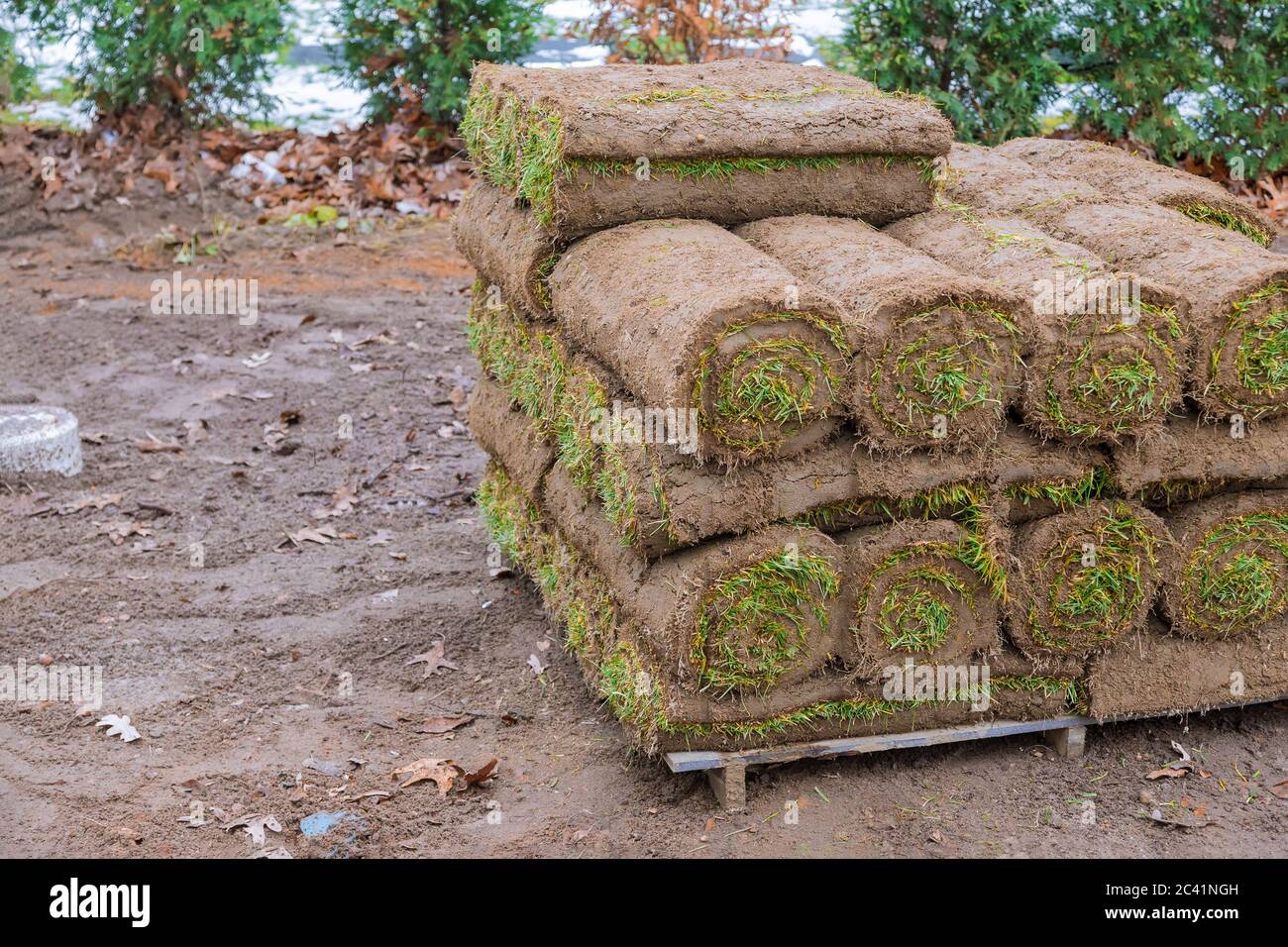 Modern lawn planting technologies in landscape design on pallet roll ...