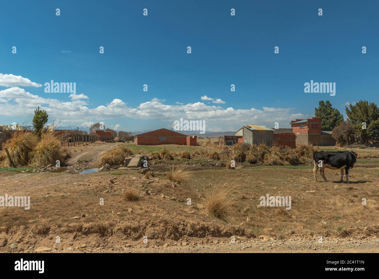 Landscape near Laja, Laja, Departamento La Paz, Bolivia, Latin America ...