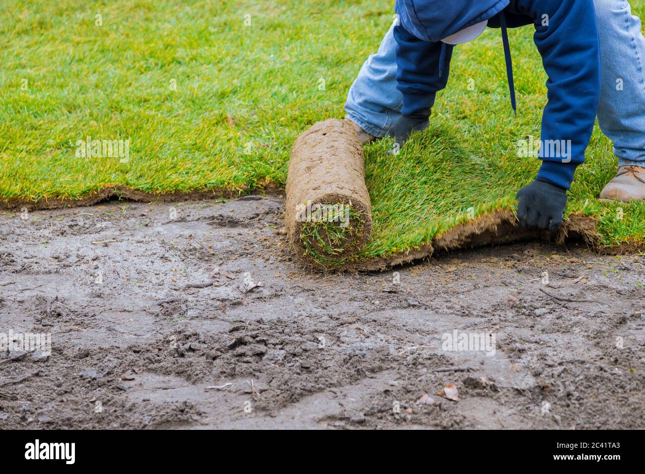 Unrolling laying rolls hi-res stock photography and images - Alamy