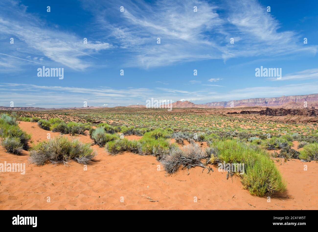 Scenic desert landscape with red sand and green bushes Stock Photo - Alamy